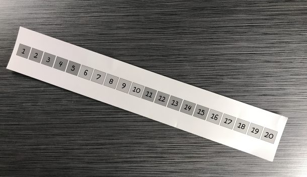 1-20 Number Path - Build Math Minds