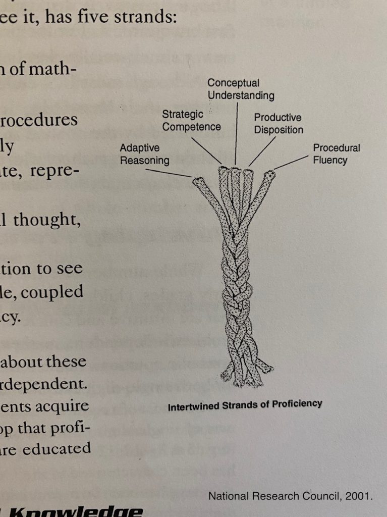 Episode 80: The 5 Strands of Mathematical Proficiency - Build Math Minds